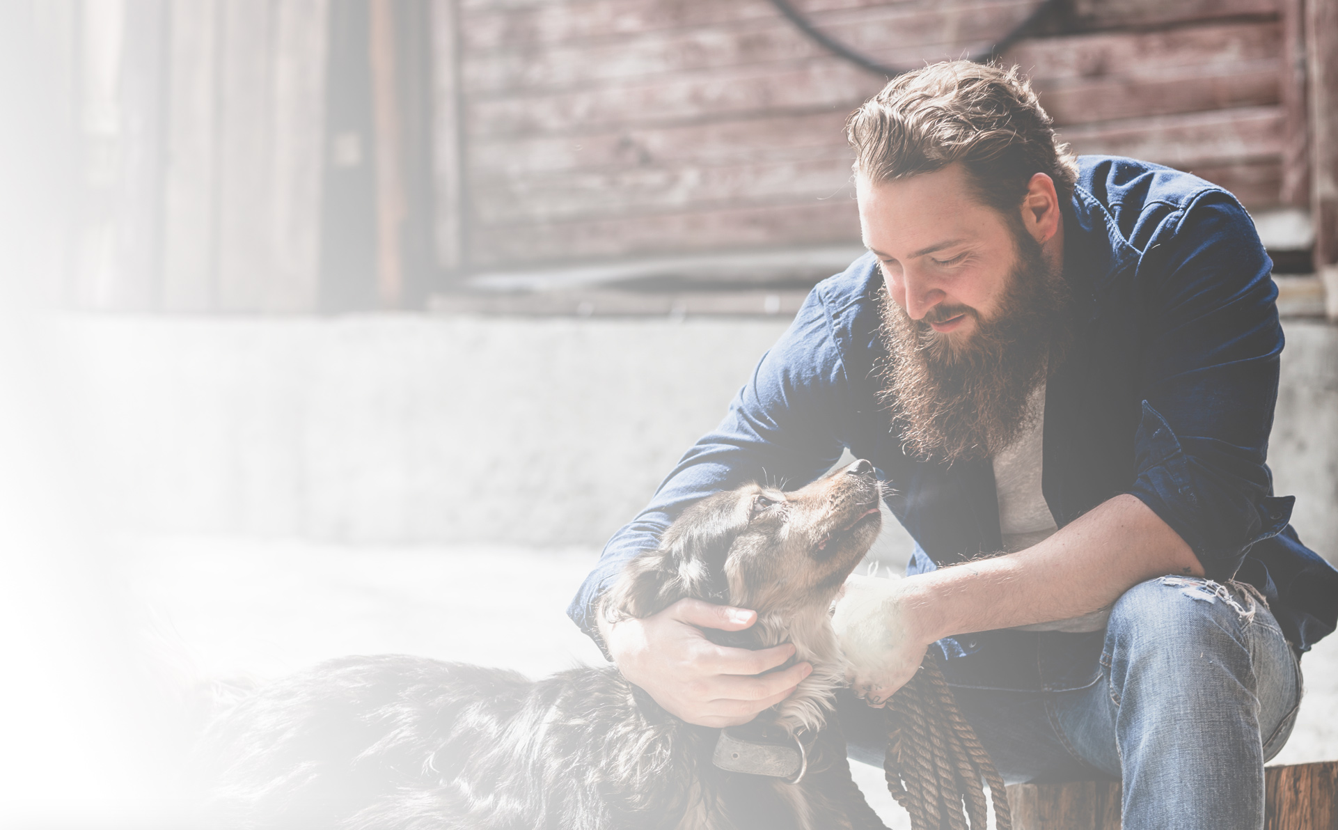 Sidekick Pet Products – Complete nutrition for pets